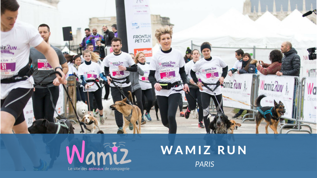 Wamiz Run | Agence événementielle Marseille | Les Insatiables